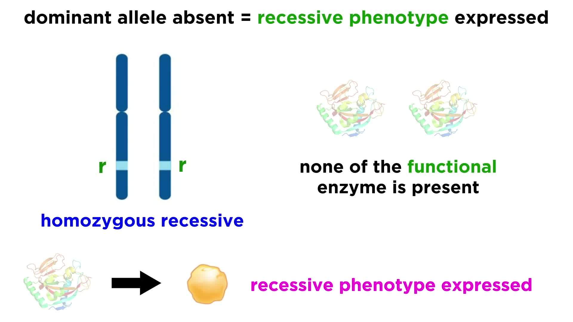 Beyond Mendelian Genetics Complex Patterns of Inheritance | Science Beyond Mendelian Genetics Complex Patterns of Inheritance | Science